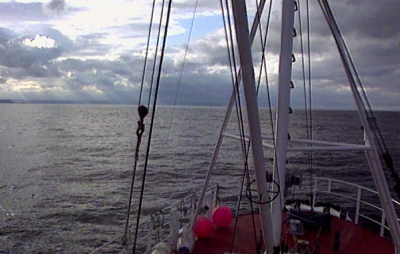 Cod Fishing in Norway - Alan Weiss Productions